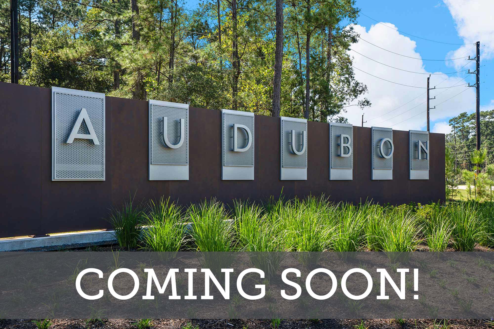 Audubon 45' Homesites Magnolia TX Home Builder, New Homes | David ...