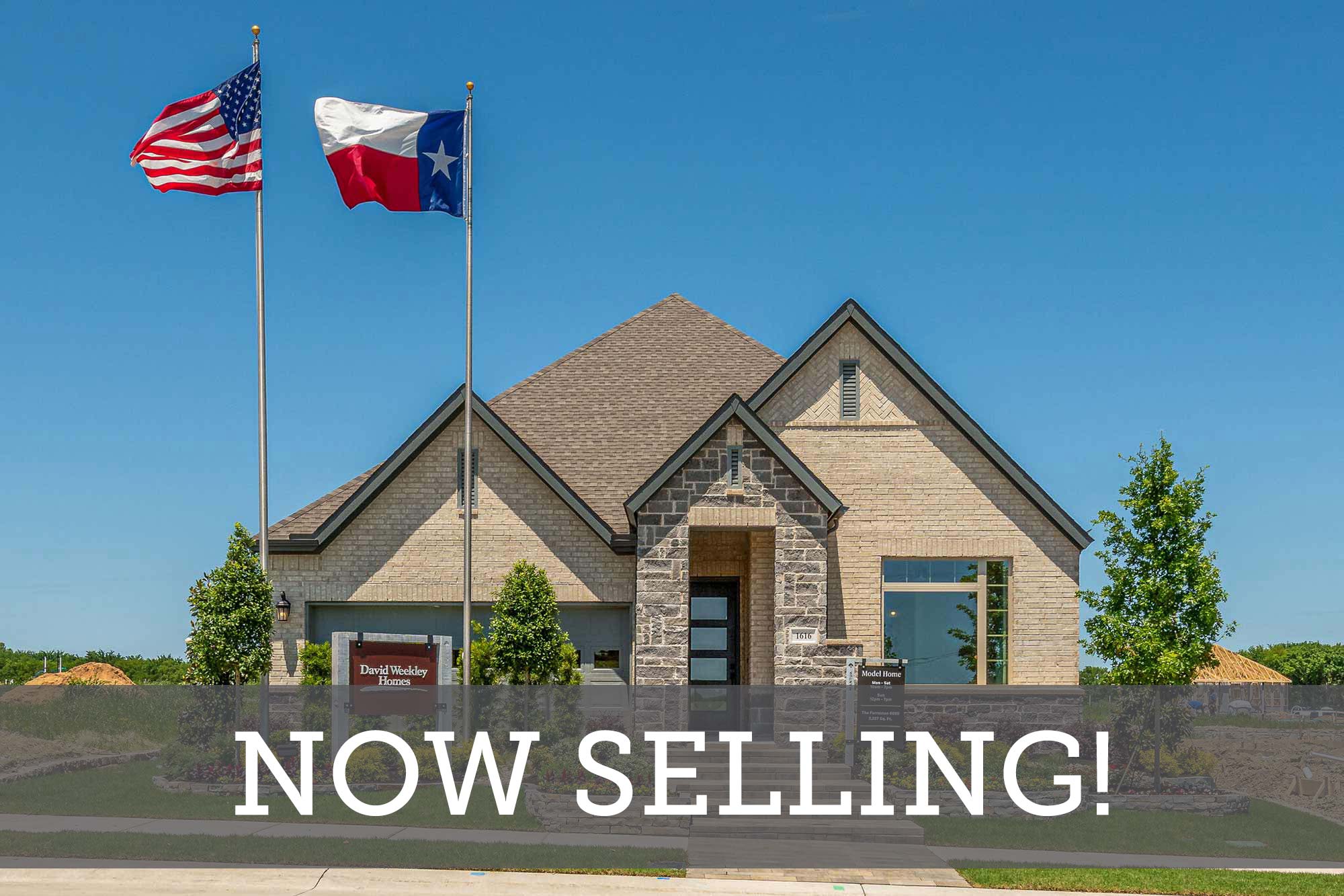 Now Selling New Homes in Mantua Point Classics Van Alstyne, TX | David ...