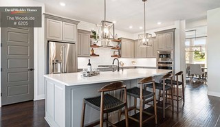Model Home Gallery | David Weekley Homes