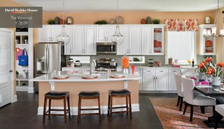 Model Home Gallery | David Weekley Homes