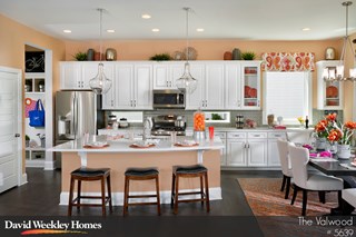 Model Home Gallery | David Weekley Homes