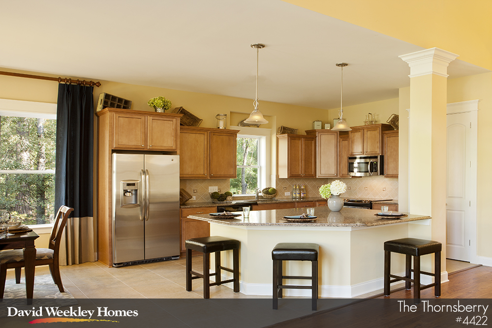 Model Home Gallery - David Weekley Homes