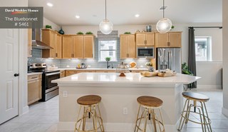 Model Home Gallery | David Weekley Homes