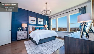 Model Home Gallery | David Weekley Homes
