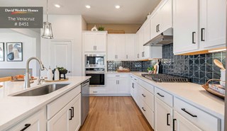 Model Home Gallery | David Weekley Homes