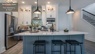 Model Home Gallery | David Weekley Homes