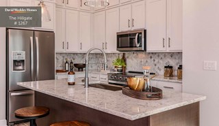 Model Home Gallery | David Weekley Homes