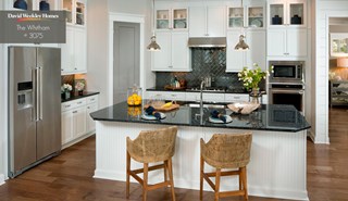 Model Home Gallery | David Weekley Homes